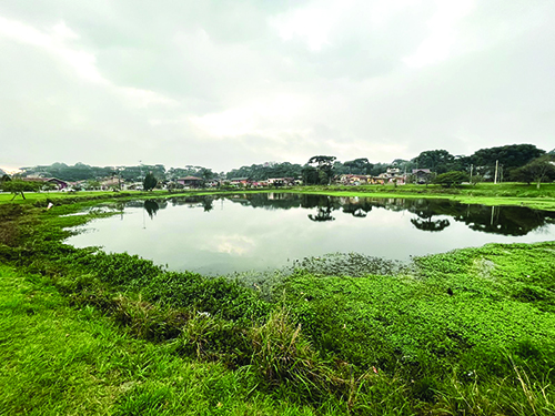 Parque do Lago deverá ser transformado em Jardim Filtrante - Jornal ...