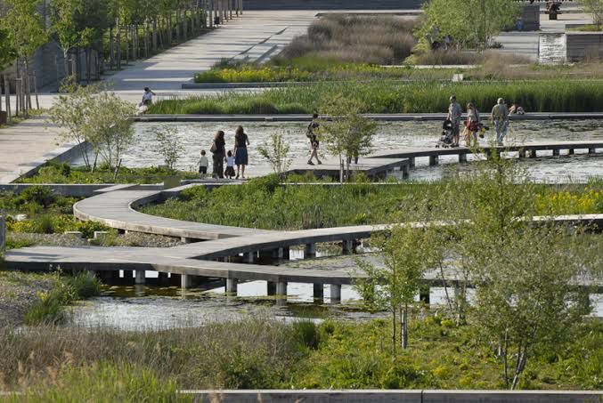 Parque do Lago deverá ser transformado em Jardim Filtrante - Jornal ...