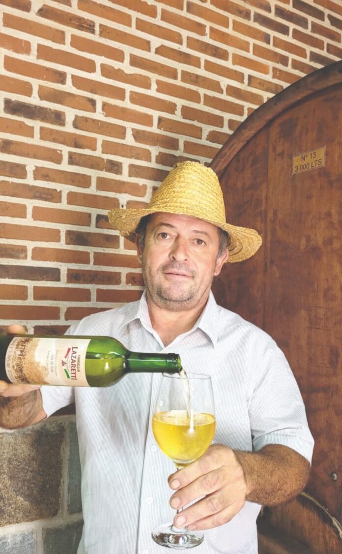 Vindima: Conheça a Família Lazaretti que há quatro gerações trabalha na ...